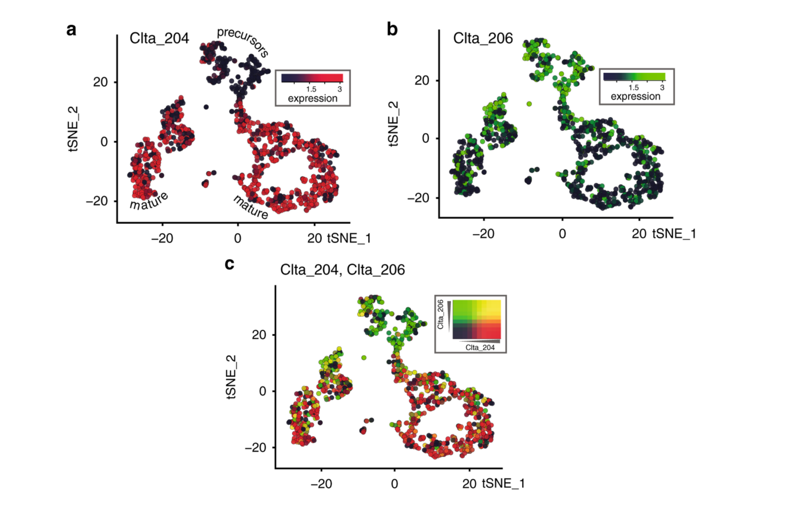 10X single cell nanopore sequencing – NXTGNT Ghent University ...