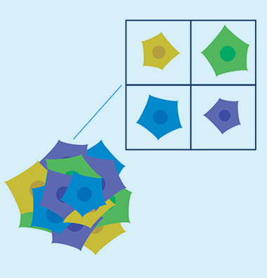 10X Single Cell Gene Expression – NXTGNT Ghent University sequencing ...